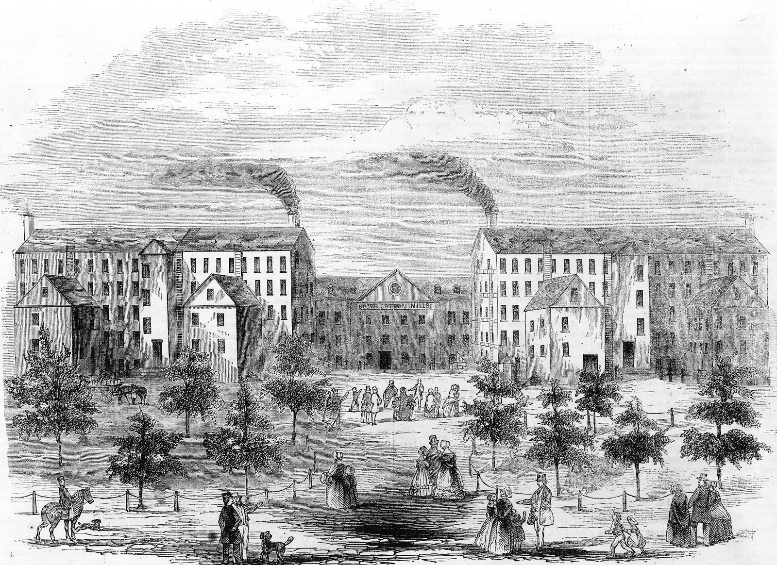 Industrialization All You Must Know